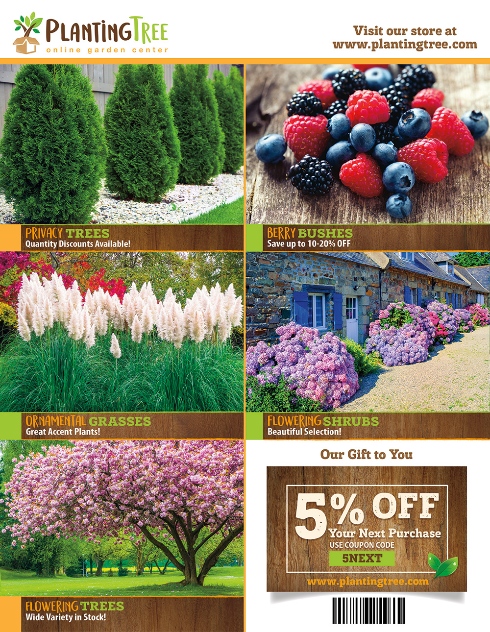 Cherie Koplove - Portfolio - Planting Tree